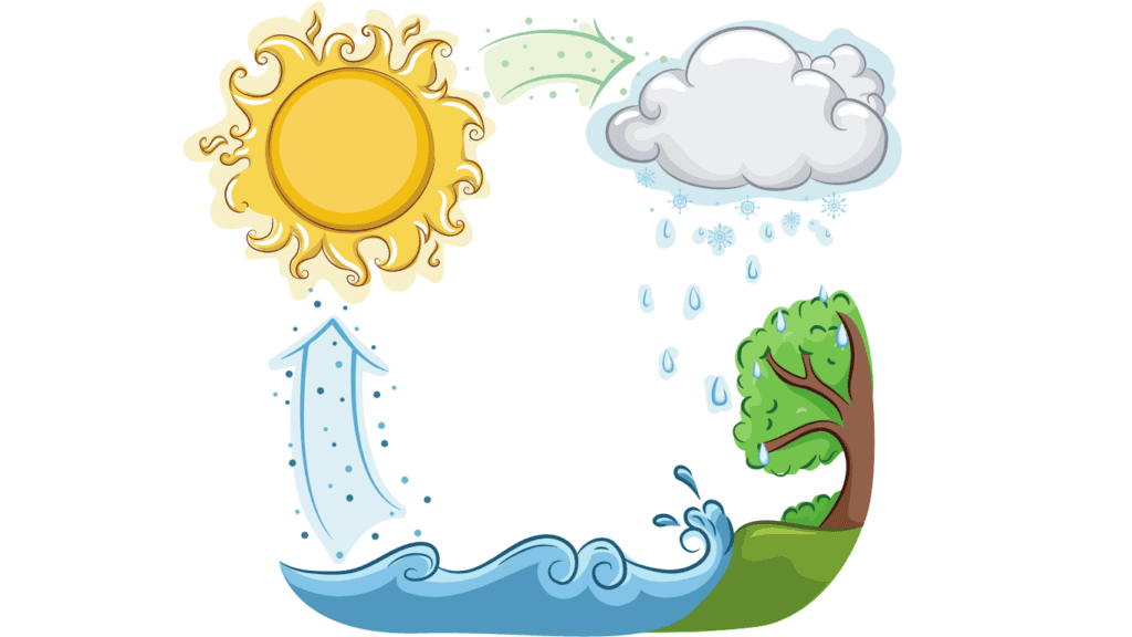 What Is Hydrological Cycle: Importance And Process? -23