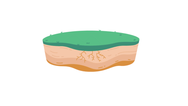 Understanding Soil Formation: From Rocks To Rich Terrain