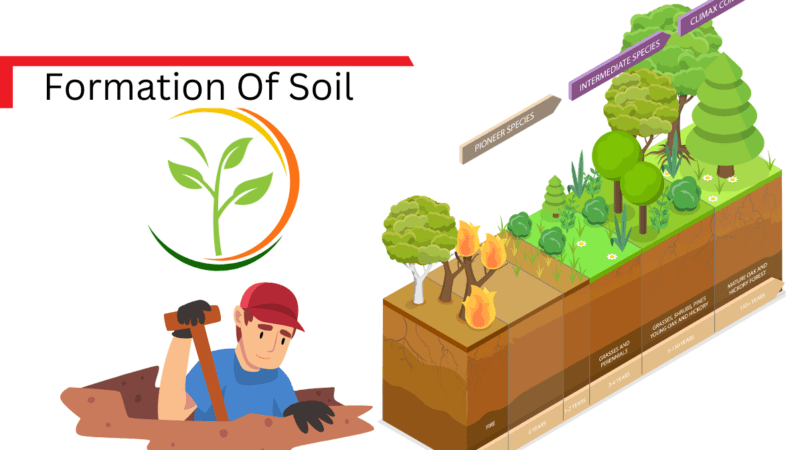 Understanding Soil Formation: From Rocks To Rich Terrain » The Civil ...