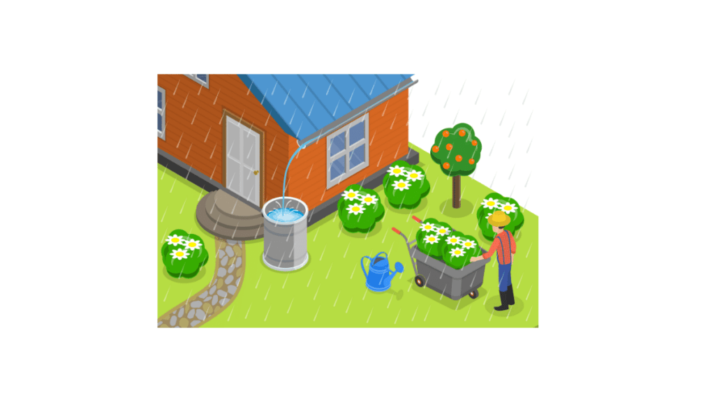 Why Is Rain Water Harvesting Important? » TheCivilStudies